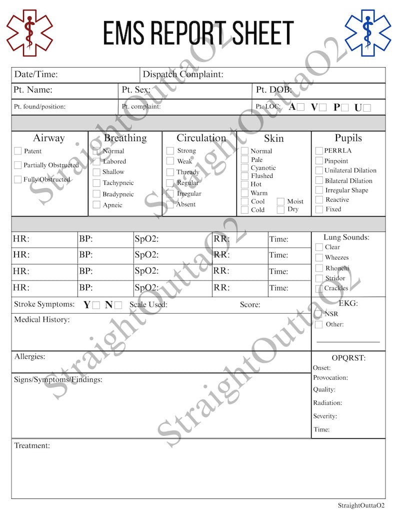 EMS Report Sheet - Etsy