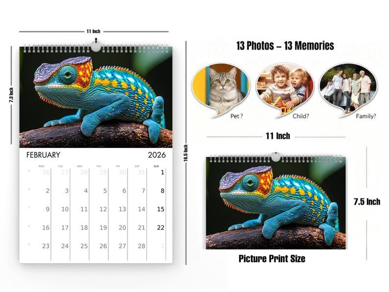 Large 2026 Wildlife Wall Calendar, Animal Photography, Personalized ...