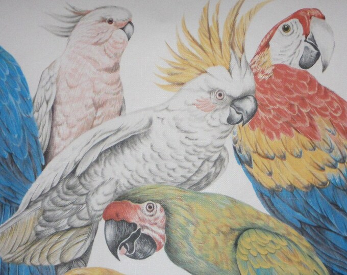 Parrots Cockatoo Wallpaper Borders Vintage Tropical Bird Wallpaper ...