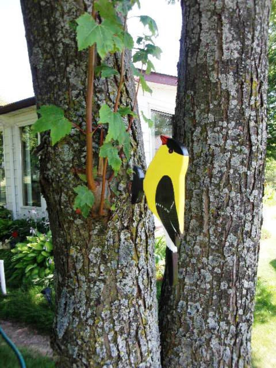 AMERICAN GOLDFINCH STATUE - Etsy