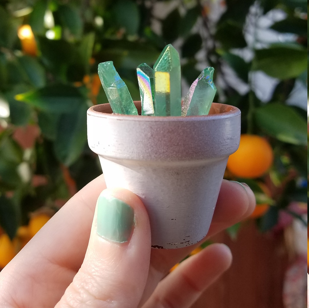 Green Aura Quartz Crystal Cactus: Terracotta Planter, Forever Plant - Etsy
