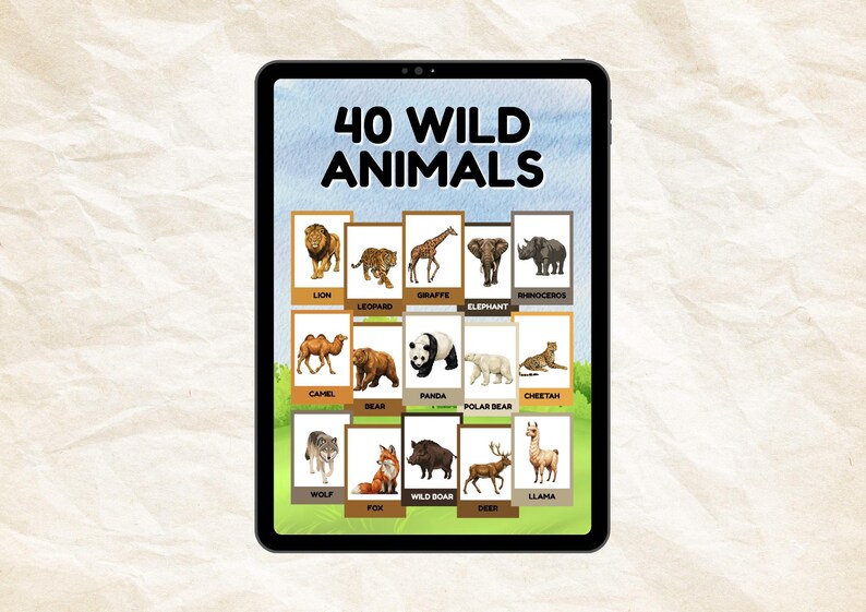 40 Wild Animals Printable Flashcards, Safari Learning Cards (digital ...