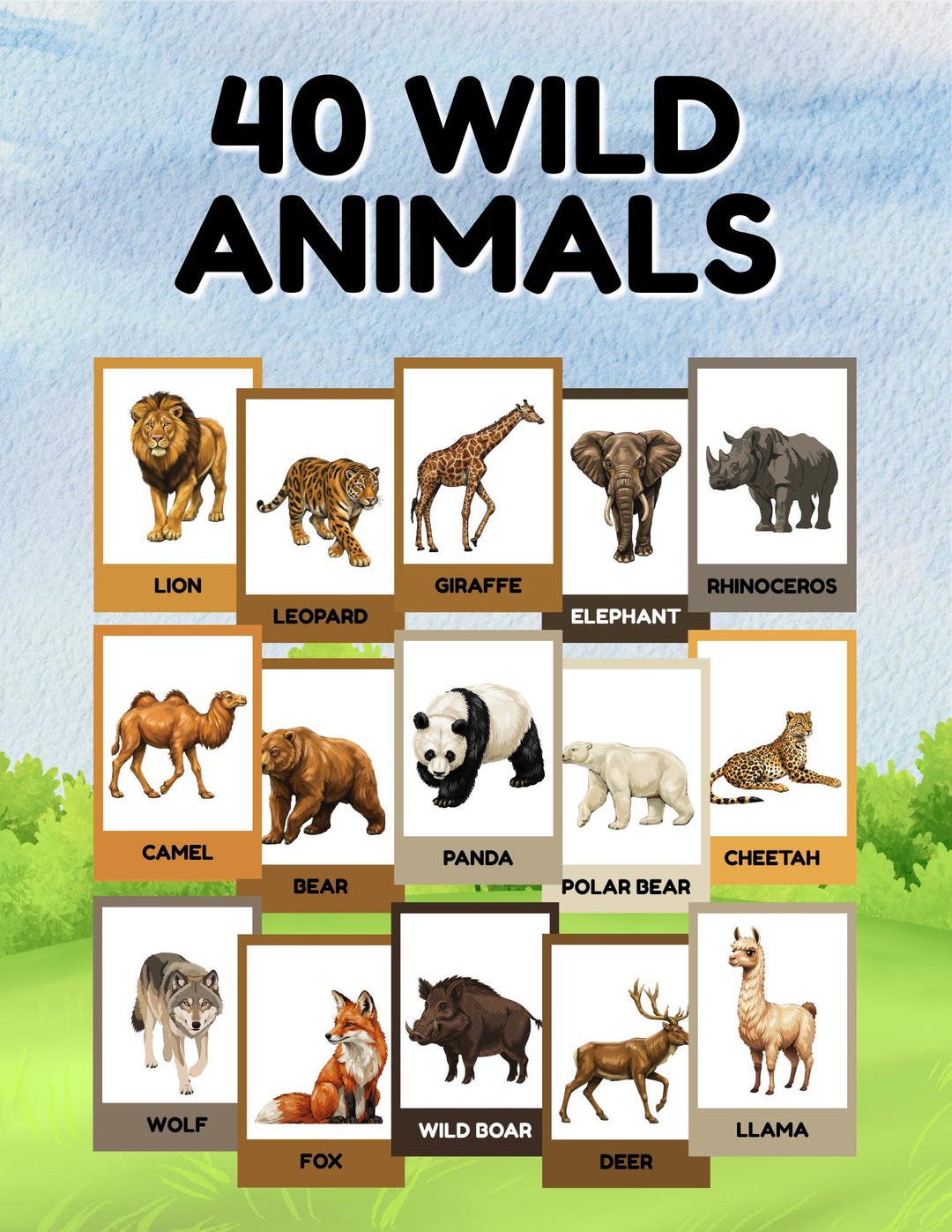 40 Wild Animals Printable Flashcards, Safari Learning Cards (digital ...