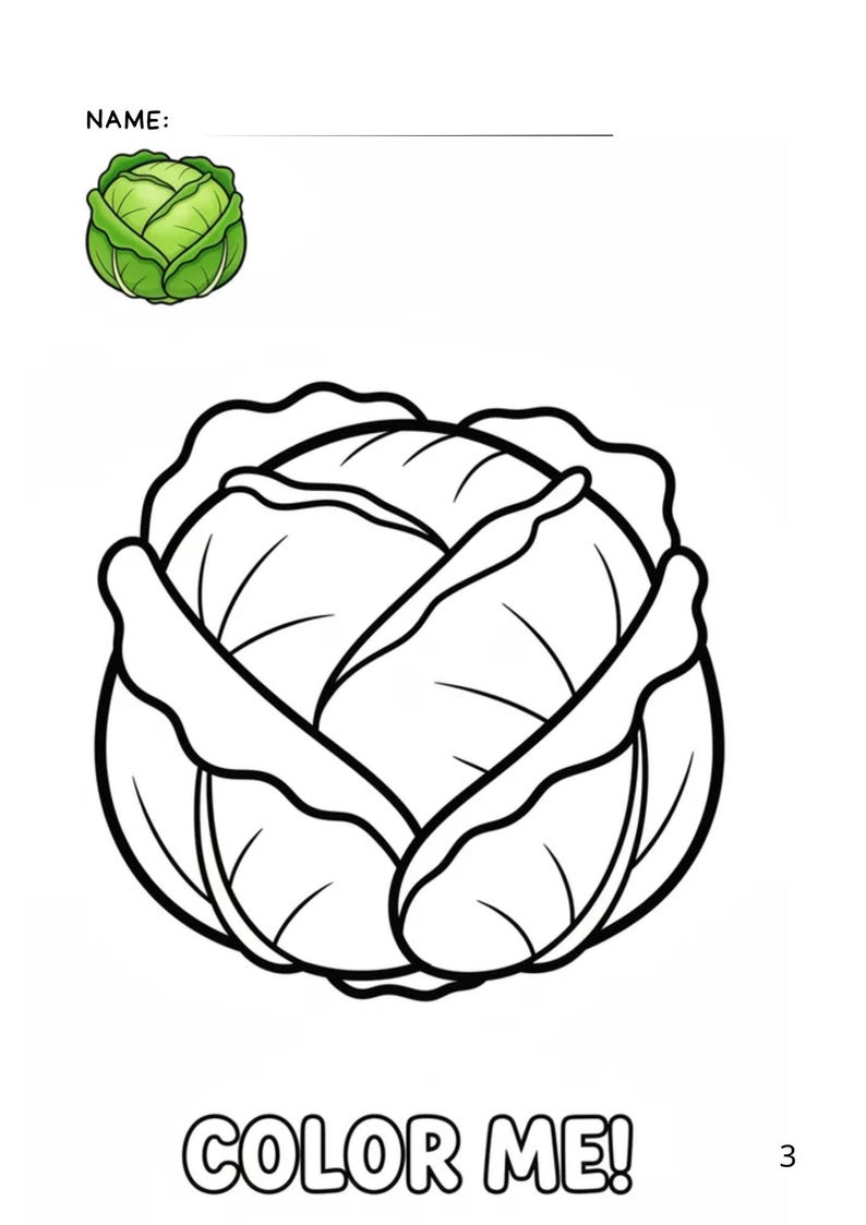 Vegetable Coloring Pages for Kids | Different Cabbage Types | Easy ...