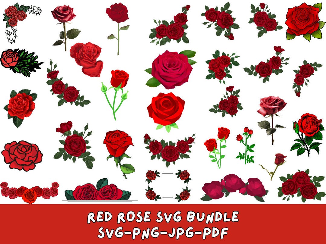 Red Rose Clipart SVG Bundle | Floral Designs (png, Jpg, Pdf) - Etsy