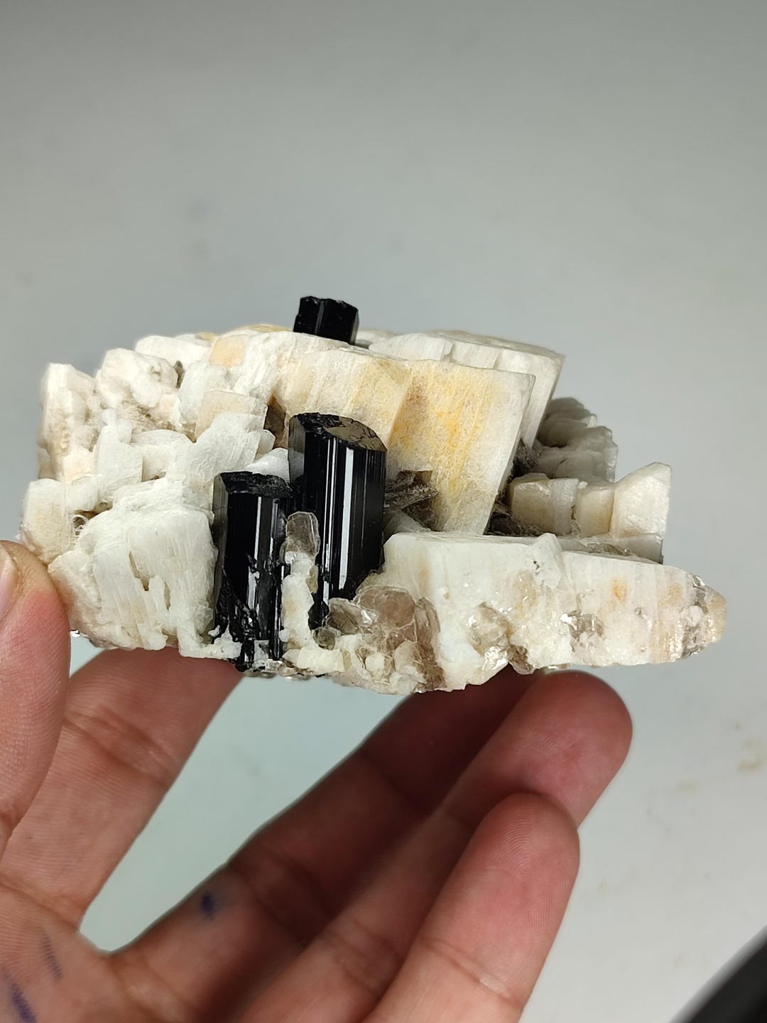 Black Tourmaline Crystals on Albite Feldspar Cluster, Pakistan - Etsy