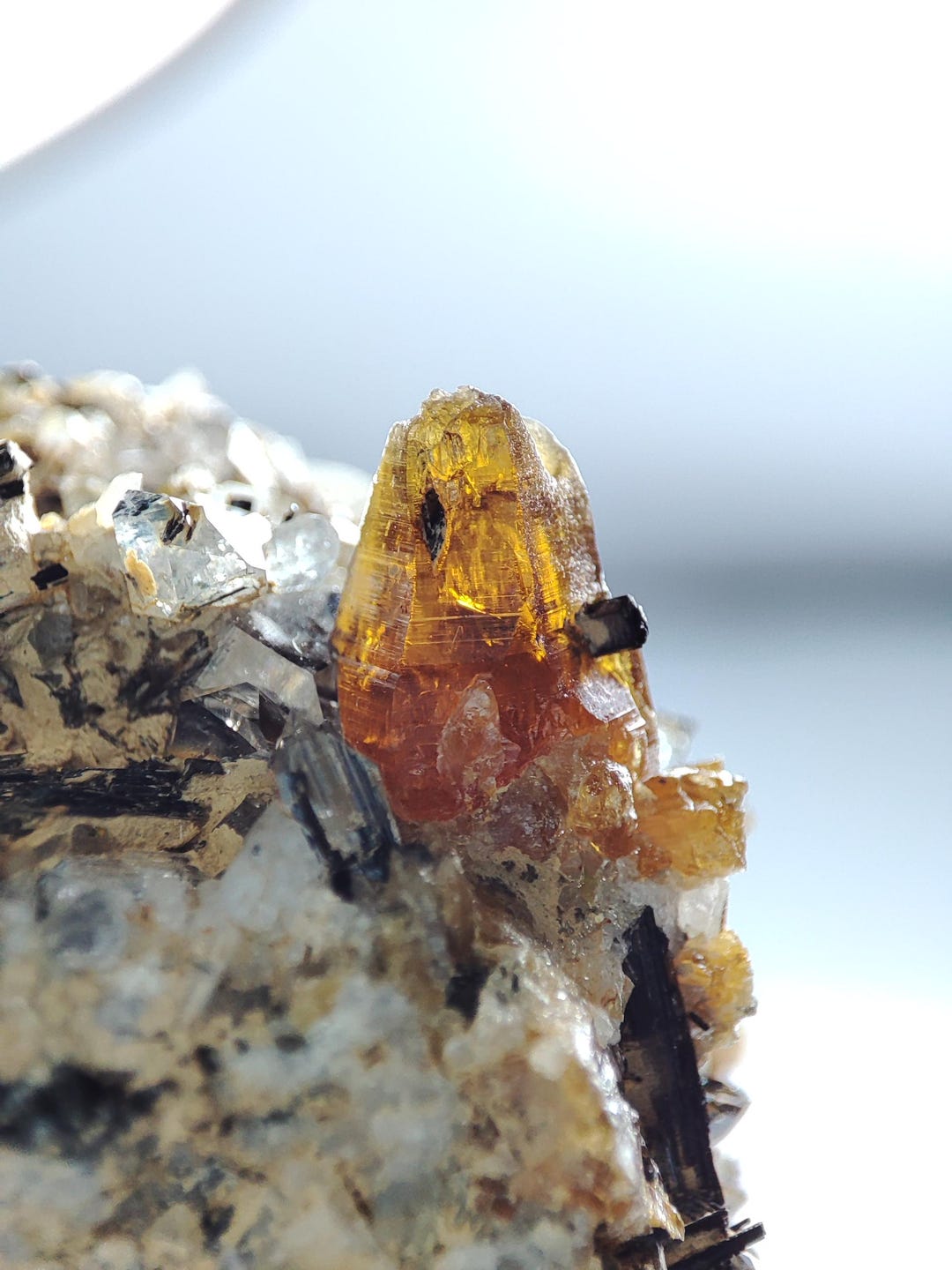 Aegirine Extremely Rare Parisite-ce With Aegirine Cluster Quartz on ...