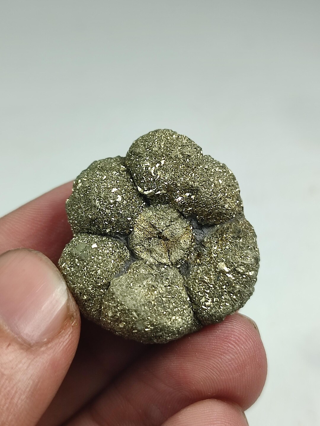 Pyrite Marcasite With Flower Formation Beautiful Specimen From Pak. "30 ...