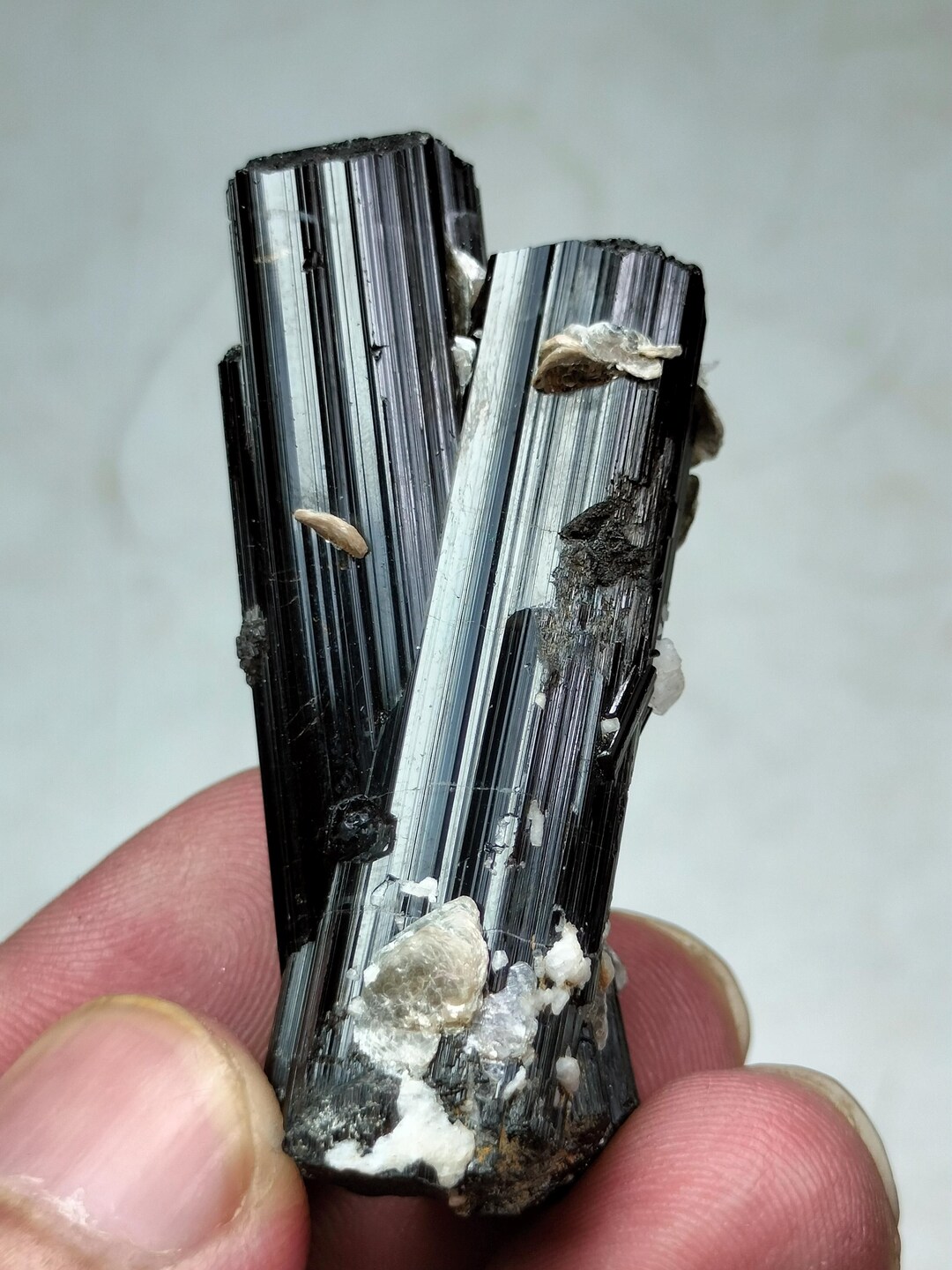 Black Tourmaline Twin Crystals Point Combine With Mice From Pakistan ...