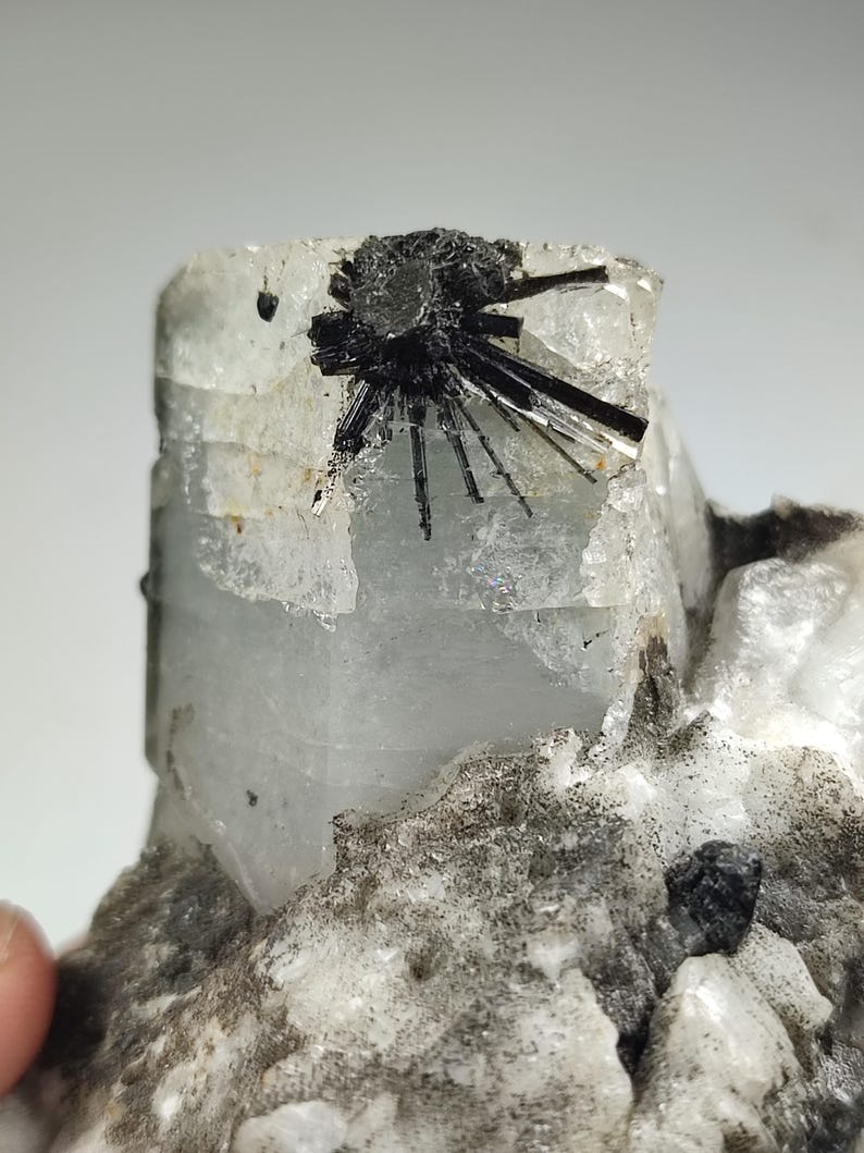 Black Tourmaline Star on Aquamarine With Albite, Pakistan Specimen - Etsy