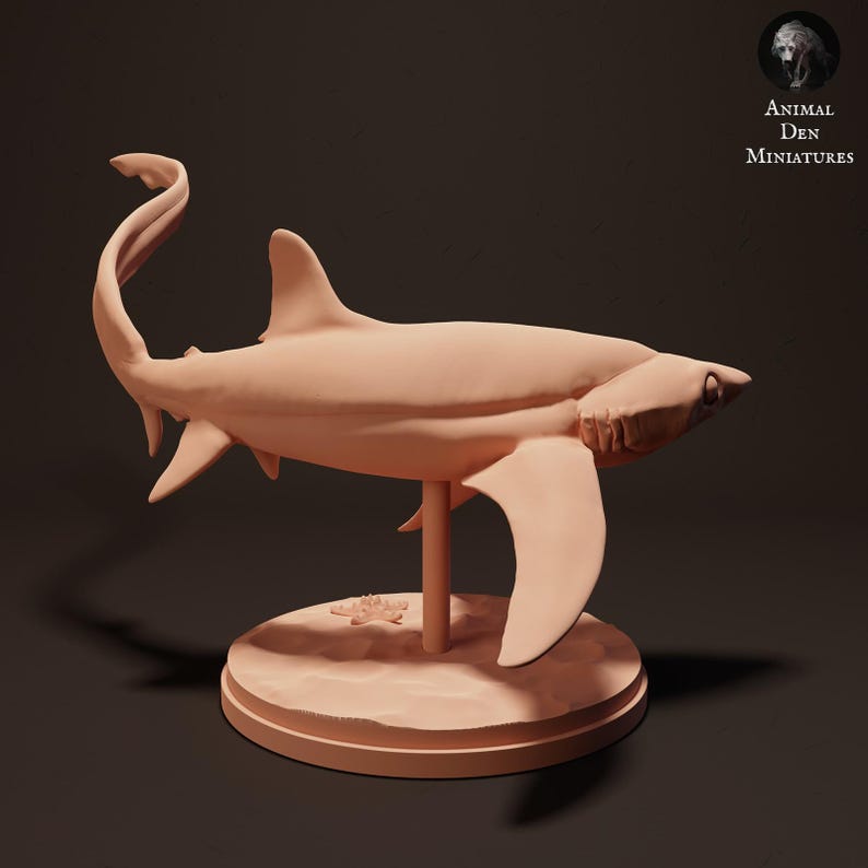 Big Eye Thresher Shark – 3D Printed Model - Unpainted - Animals ...