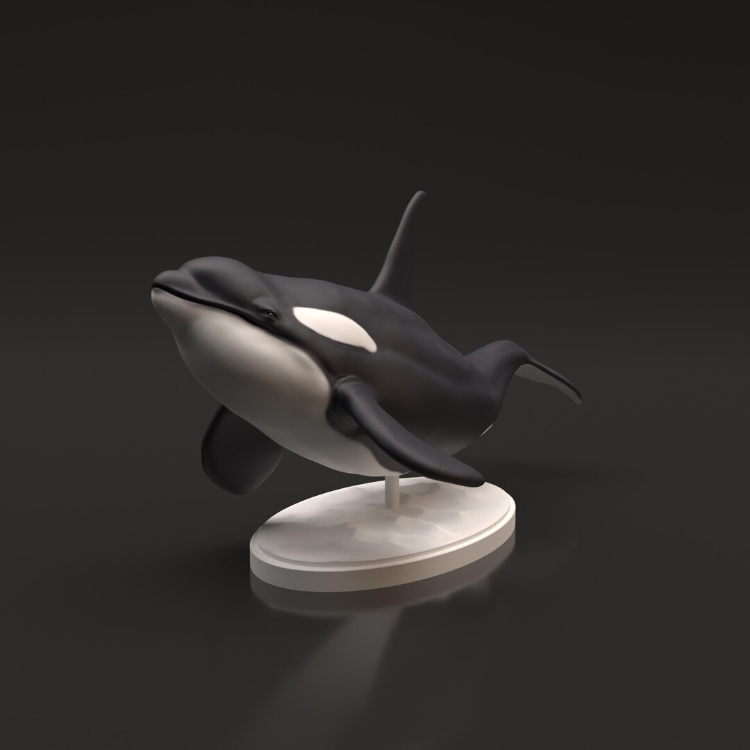 Orca – 3D Printed Model - Unpainted - Animals Miniatures - Resin - Etsy