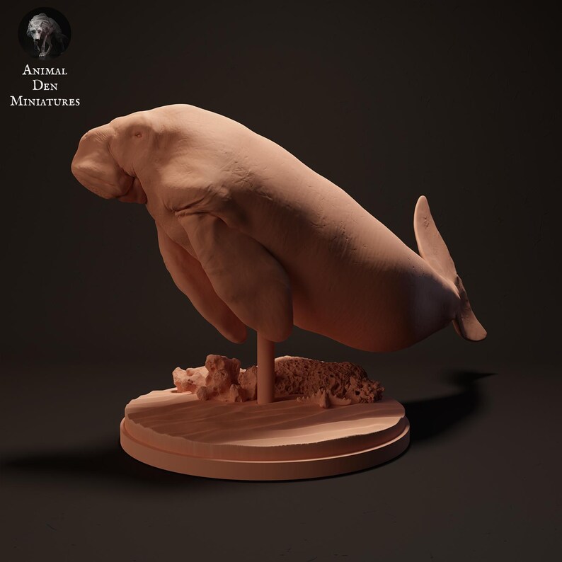 Dugong – 3D Printed Model - Unpainted - Animals Miniatures - Resin - Etsy