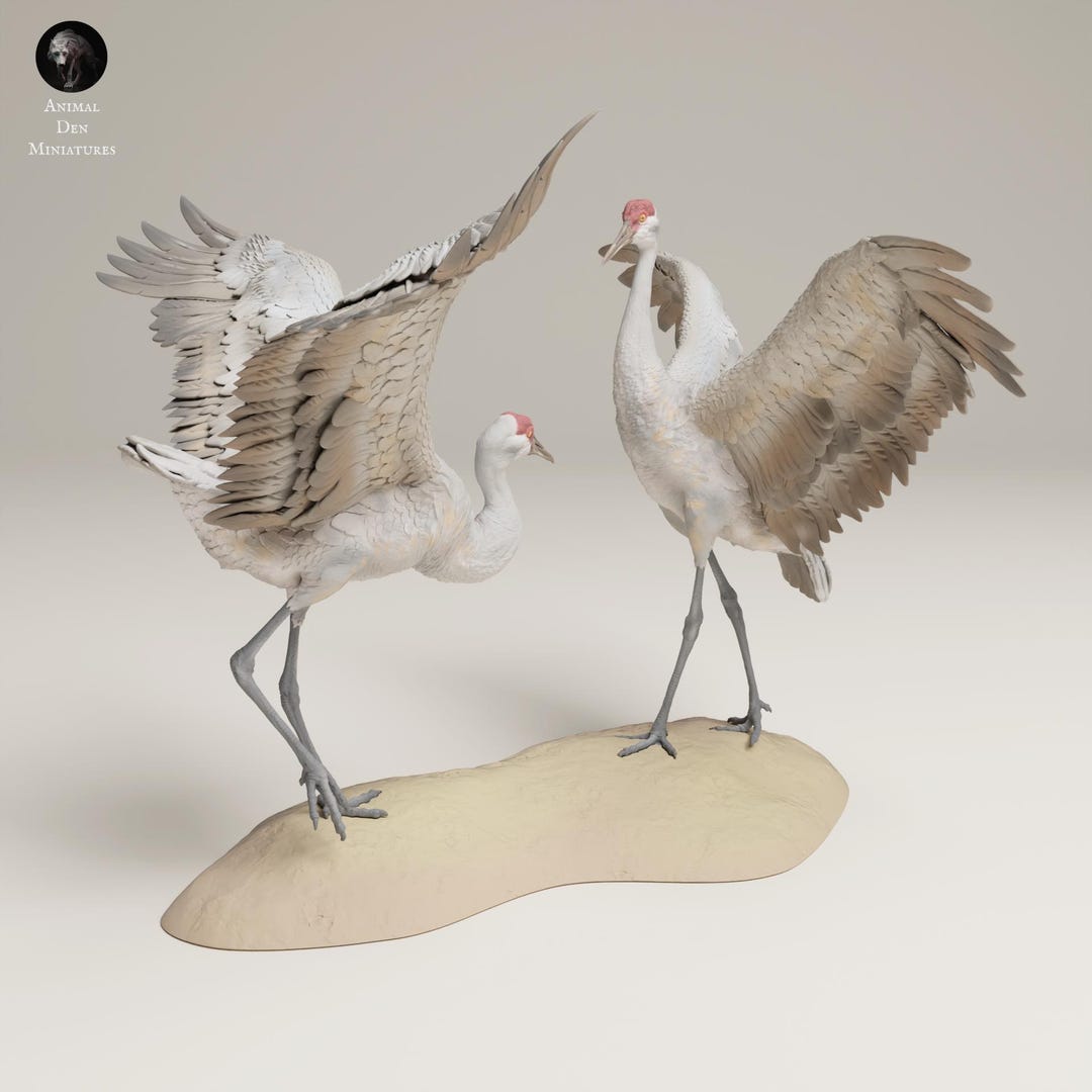 Greater Sandhill Cranes Dance – 3D Printed Model - Unpainted - Animals ...