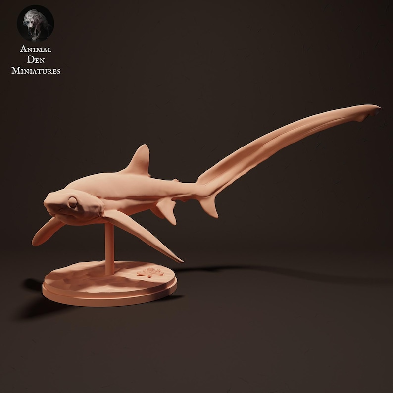 Big Eye Thresher Shark – 3D Printed Model - Unpainted - Animals ...