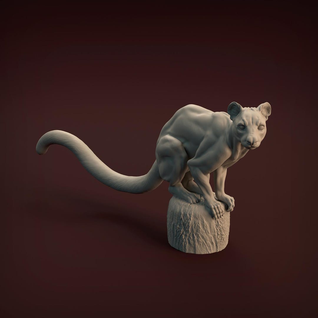 Fossa – 3D Printed Model - Unpainted - Animals Miniatures - Resin - Etsy