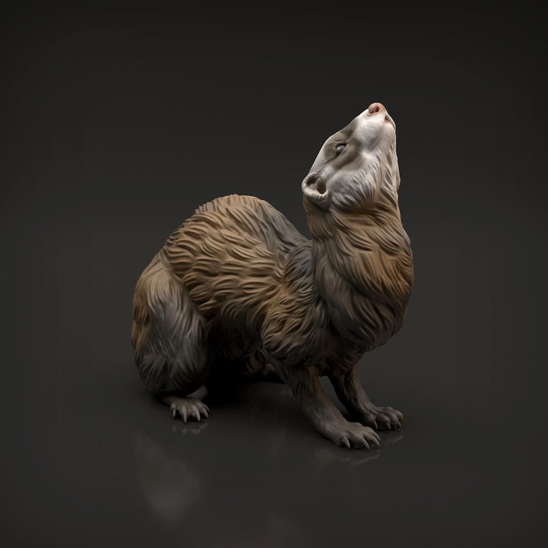 Ferret – 3D Printed Model - Unpainted - Animals Miniatures - Resin - Etsy
