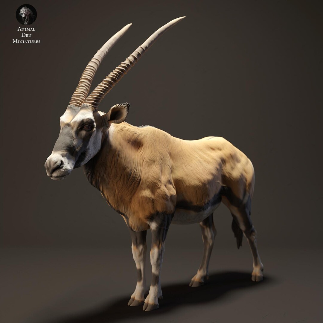 Gemsbok – 3D Printed Model - Unpainted - Animals Miniatures - Resin - Etsy