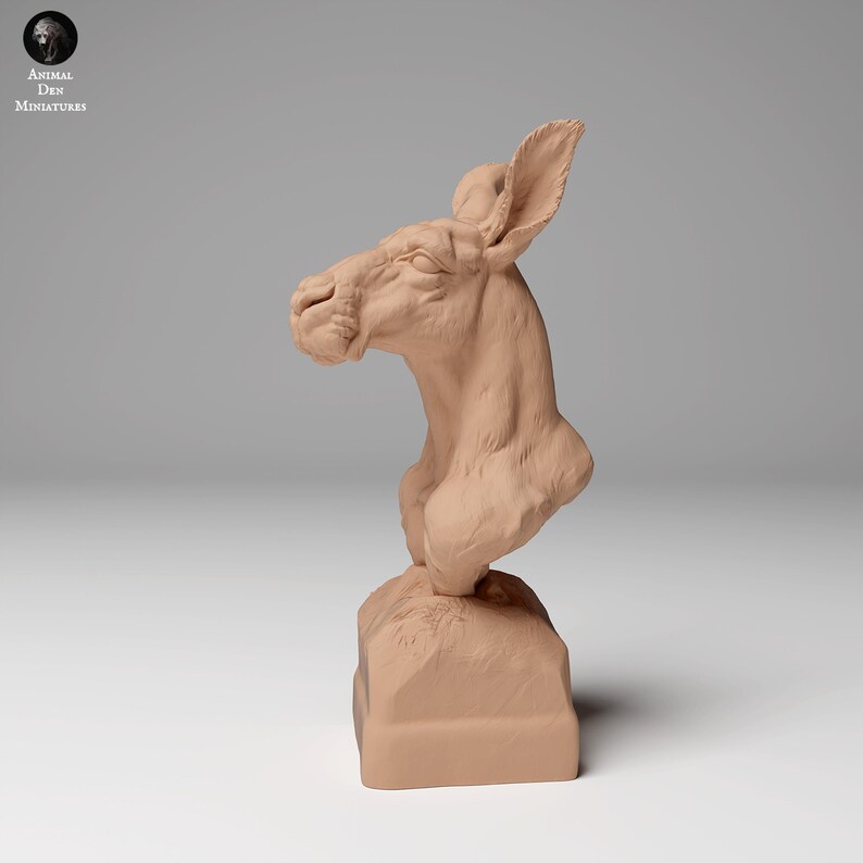 Red Kangaroo Bust – 3D Printed Model - Unpainted - Animals Miniatures ...