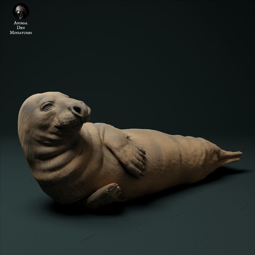 Gray Seal Male – 3D Printed Model - Unpainted - Animals Miniatures ...