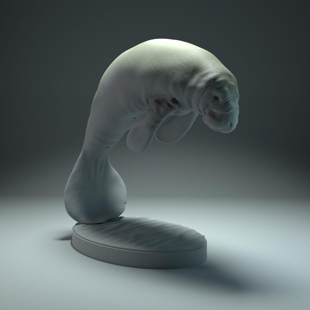 Manatee – 3D Printed Model - Unpainted - Animals Miniatures - Resin - Etsy