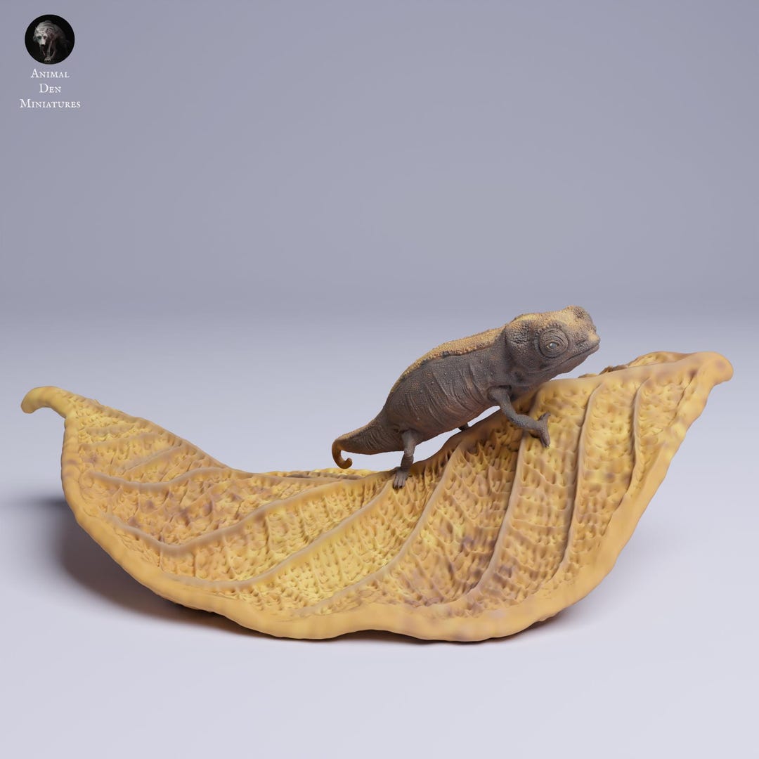 Nosy Hara Leaf Chameleon (brookesia Micra) – 3D Printed Model ...