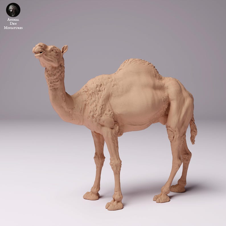Dromedary Camel Male – 3D Printed Model - Unpainted - Animals ...