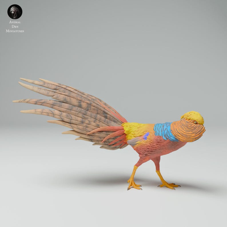 Golden Pheasant Male – 3D Printed Model - Unpainted - Animals ...