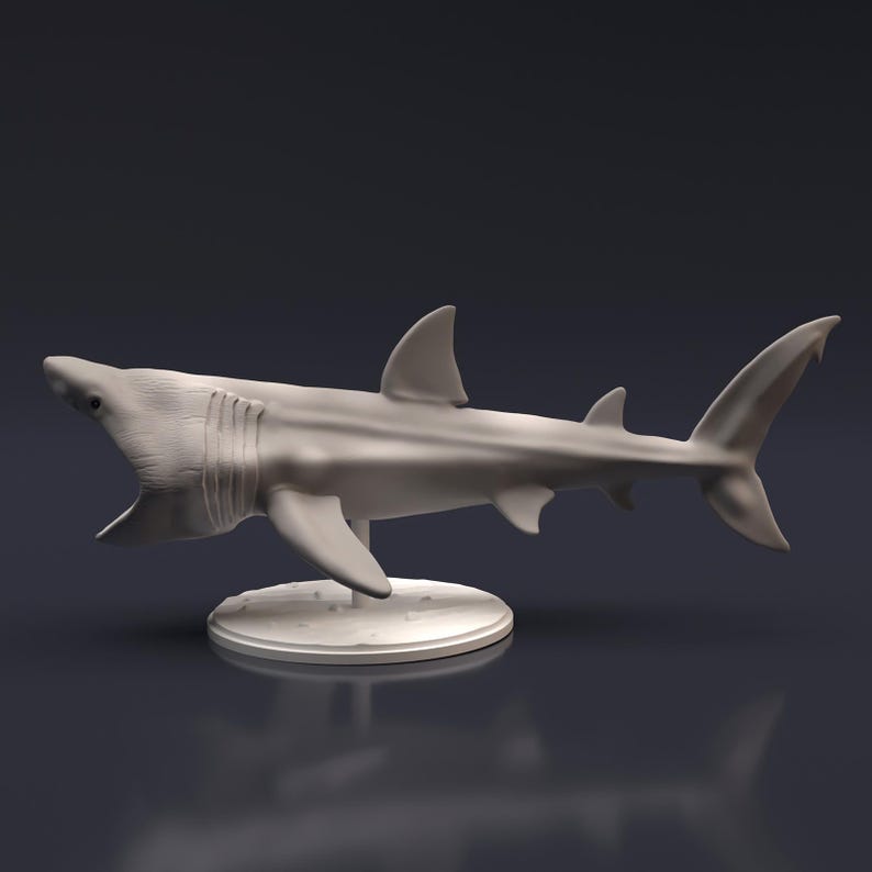 Basking Shark – 3D Printed Model - Unpainted - Animals Miniatures ...