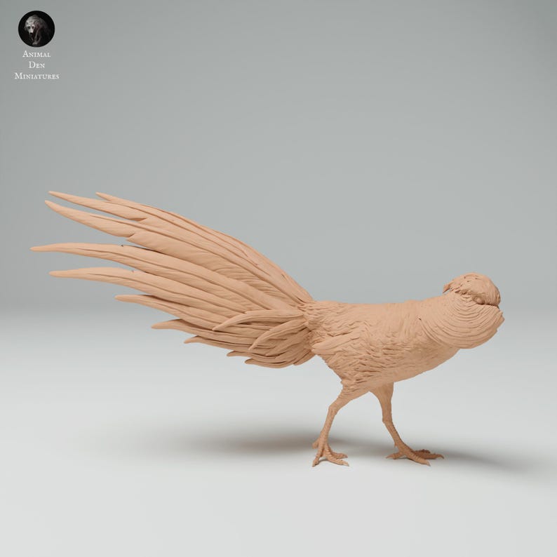Golden Pheasant Male – 3D Printed Model - Unpainted - Animals ...