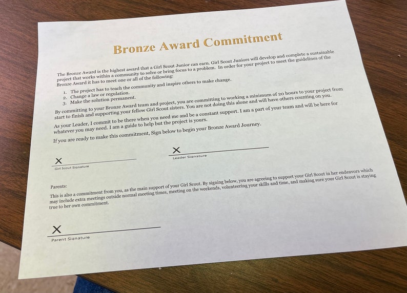 Girl Scout Bronze Award Workbook - Etsy