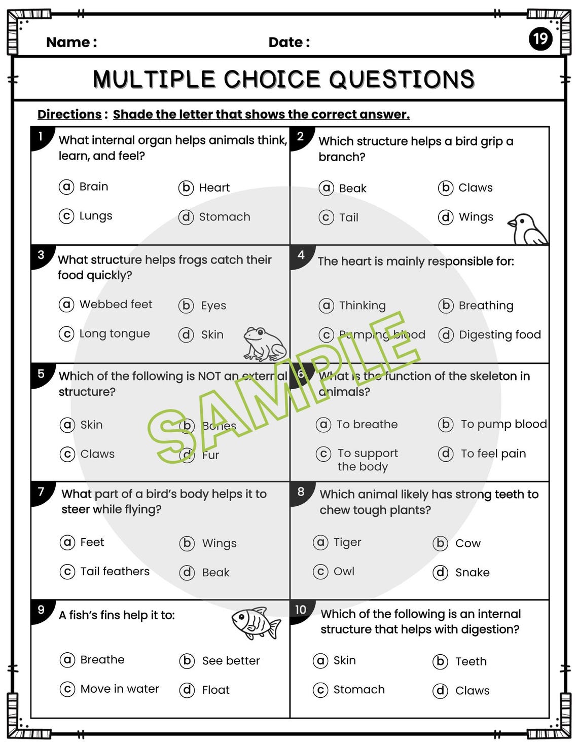Animal & Plant Structures Worksheets: NGSS Grades 3-5 (PDF Download) - Etsy