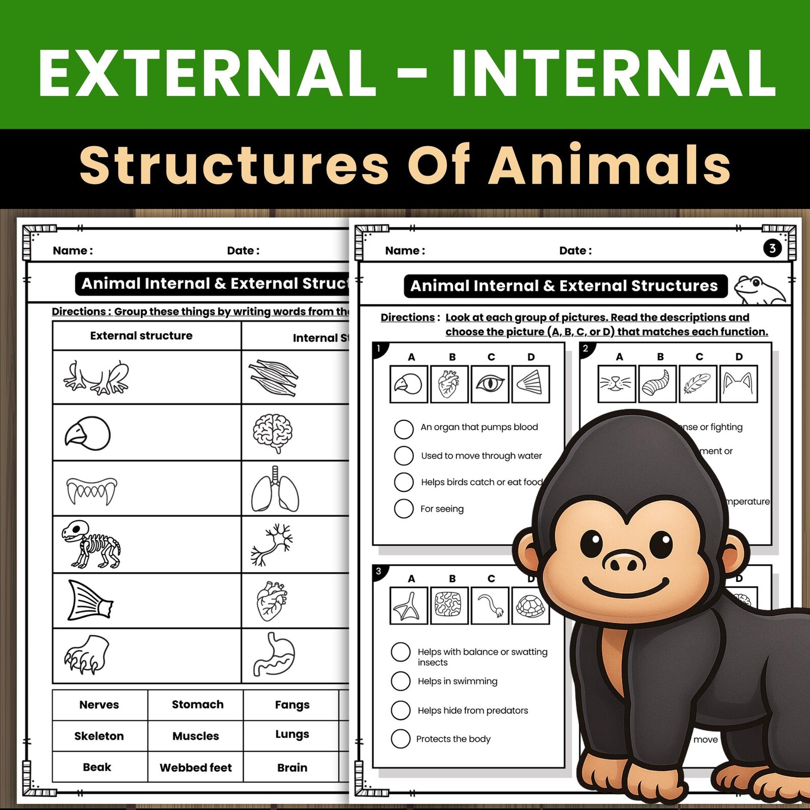 Animal & Plant Structures Worksheets: NGSS Grades 3-5 (PDF Download) - Etsy