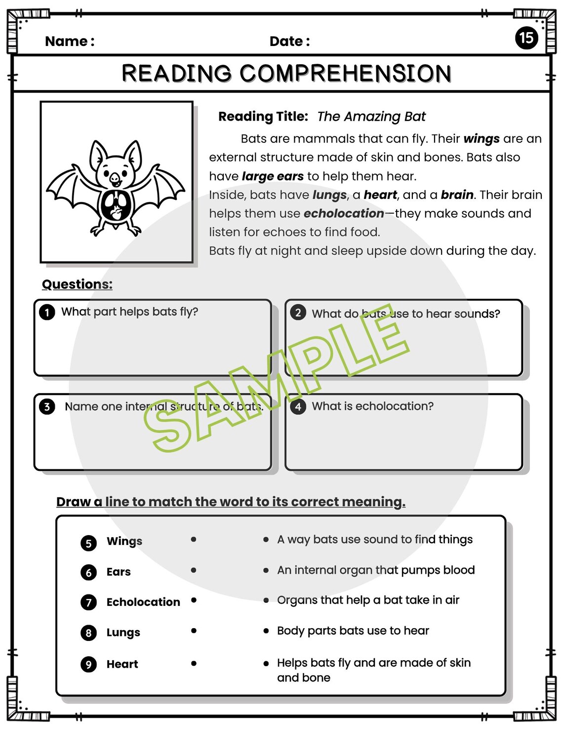 Animal & Plant Structures Worksheets: NGSS Grades 3-5 (PDF Download) - Etsy