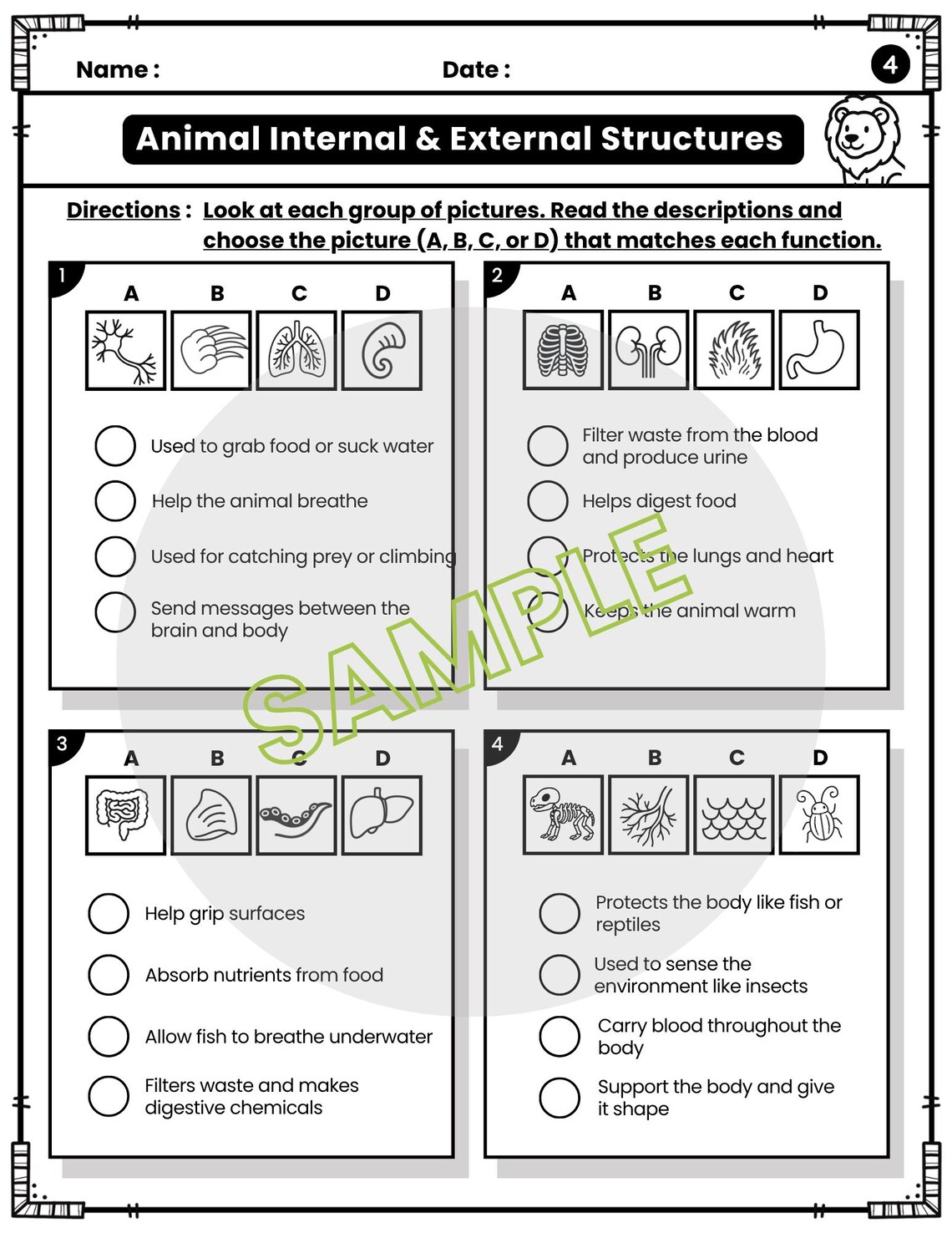 Animal & Plant Structures Worksheets: NGSS Grades 3-5 (PDF Download) - Etsy