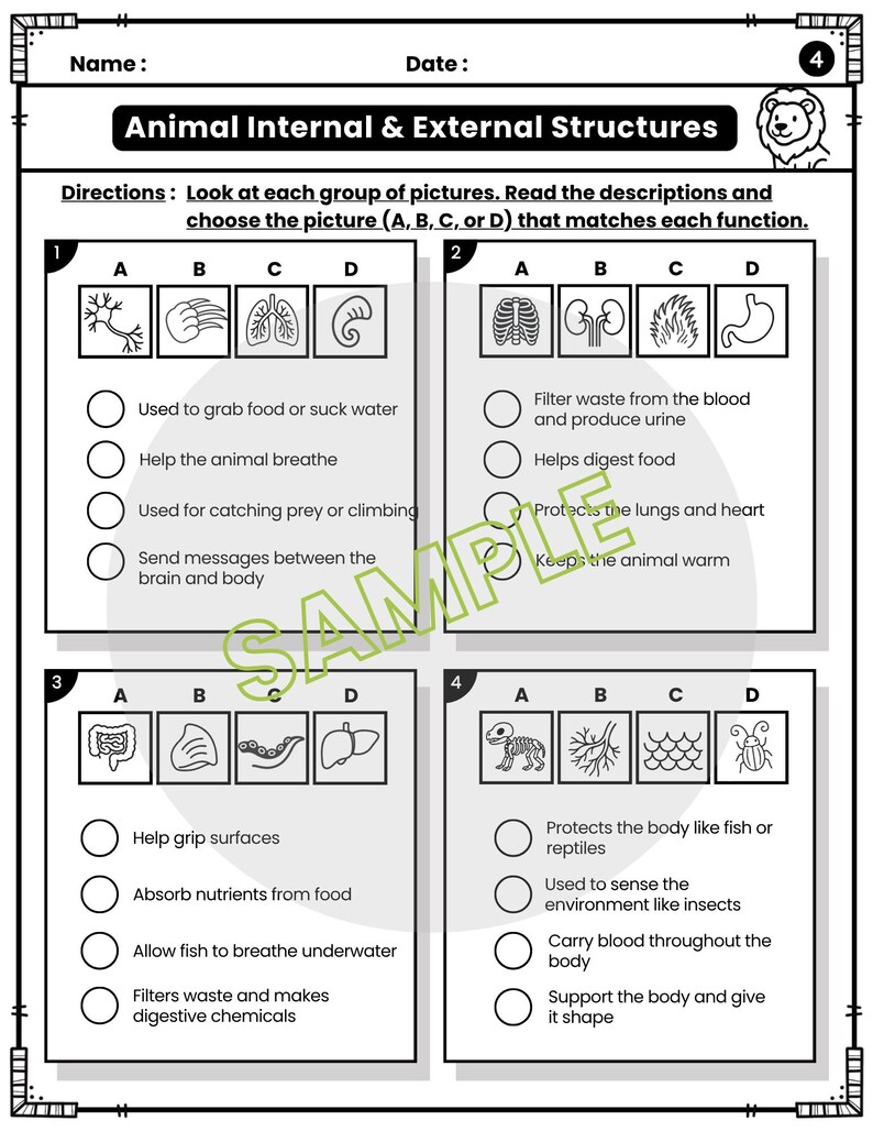 Animal & Plant Structures Worksheets: NGSS Grades 3-5 (PDF Download) - Etsy