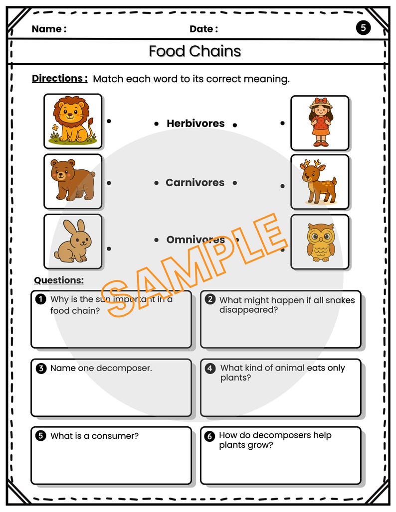 Food Chain & Food Web Worksheets | Homeschool Science Reading ...