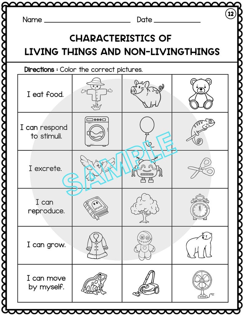Living and Non-living Things Worksheets: Homeschool Science Grades 1-3 ...