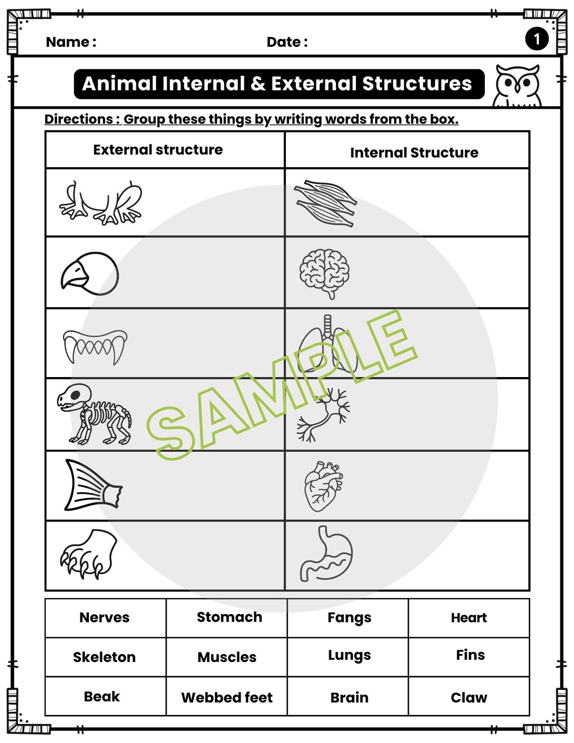 Animal & Plant Structures Worksheets: NGSS Grades 3-5 (PDF Download) - Etsy