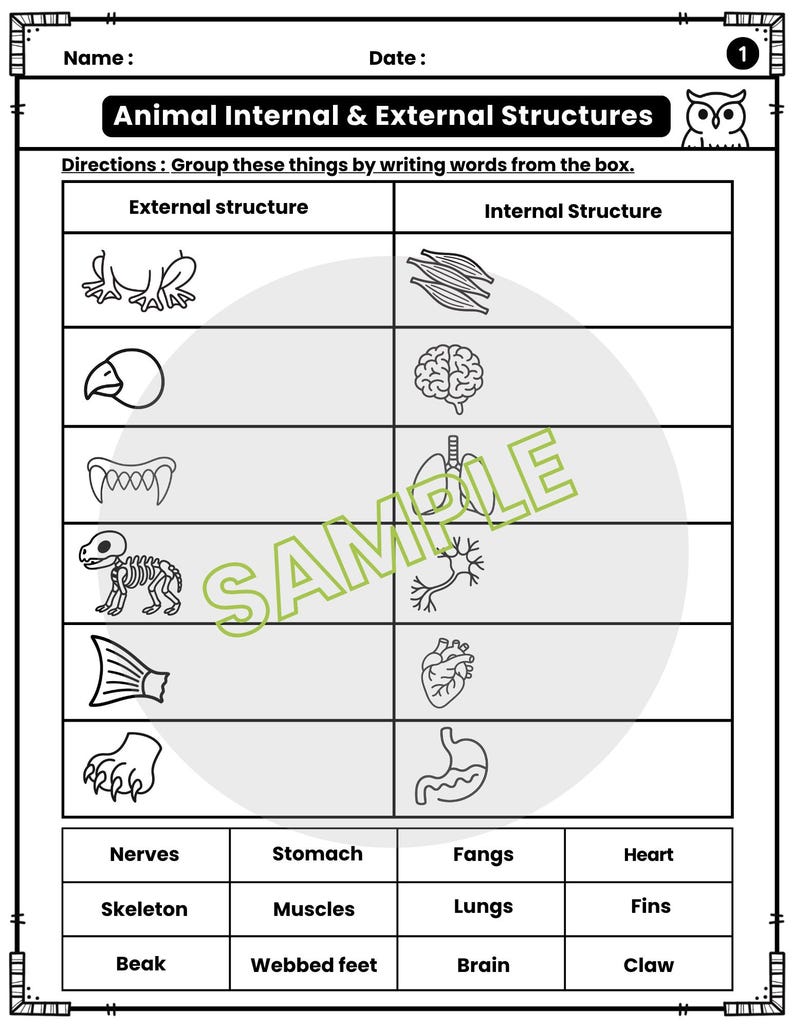 Animal & Plant Structures Worksheets: NGSS Grades 3-5 (PDF Download) - Etsy