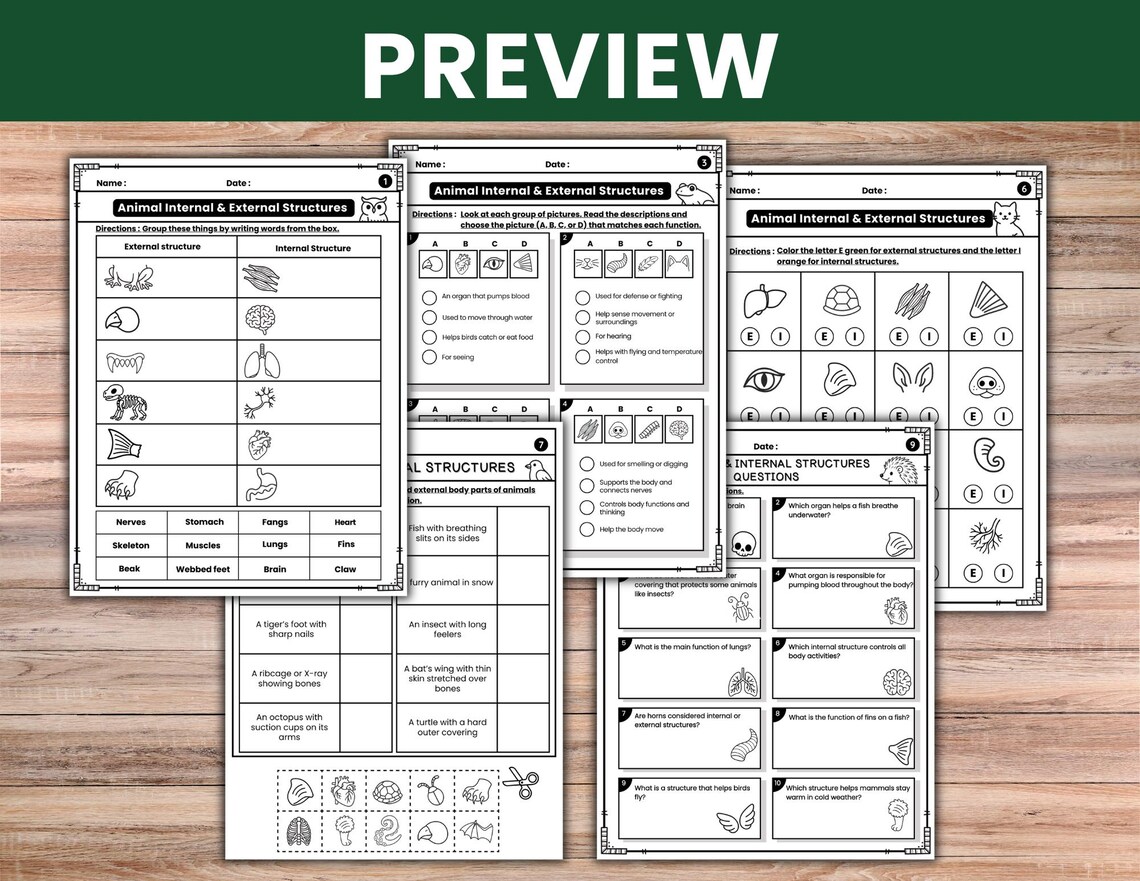 Animal & Plant Structures Worksheets: NGSS Grades 3-5 (PDF Download) - Etsy