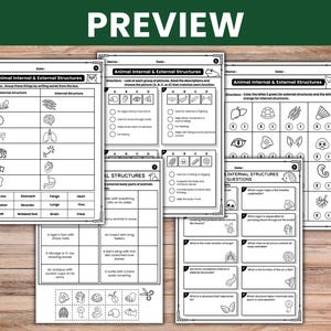 Animal & Plant Structures Worksheets: NGSS Grades 3-5 (PDF Download) - Etsy