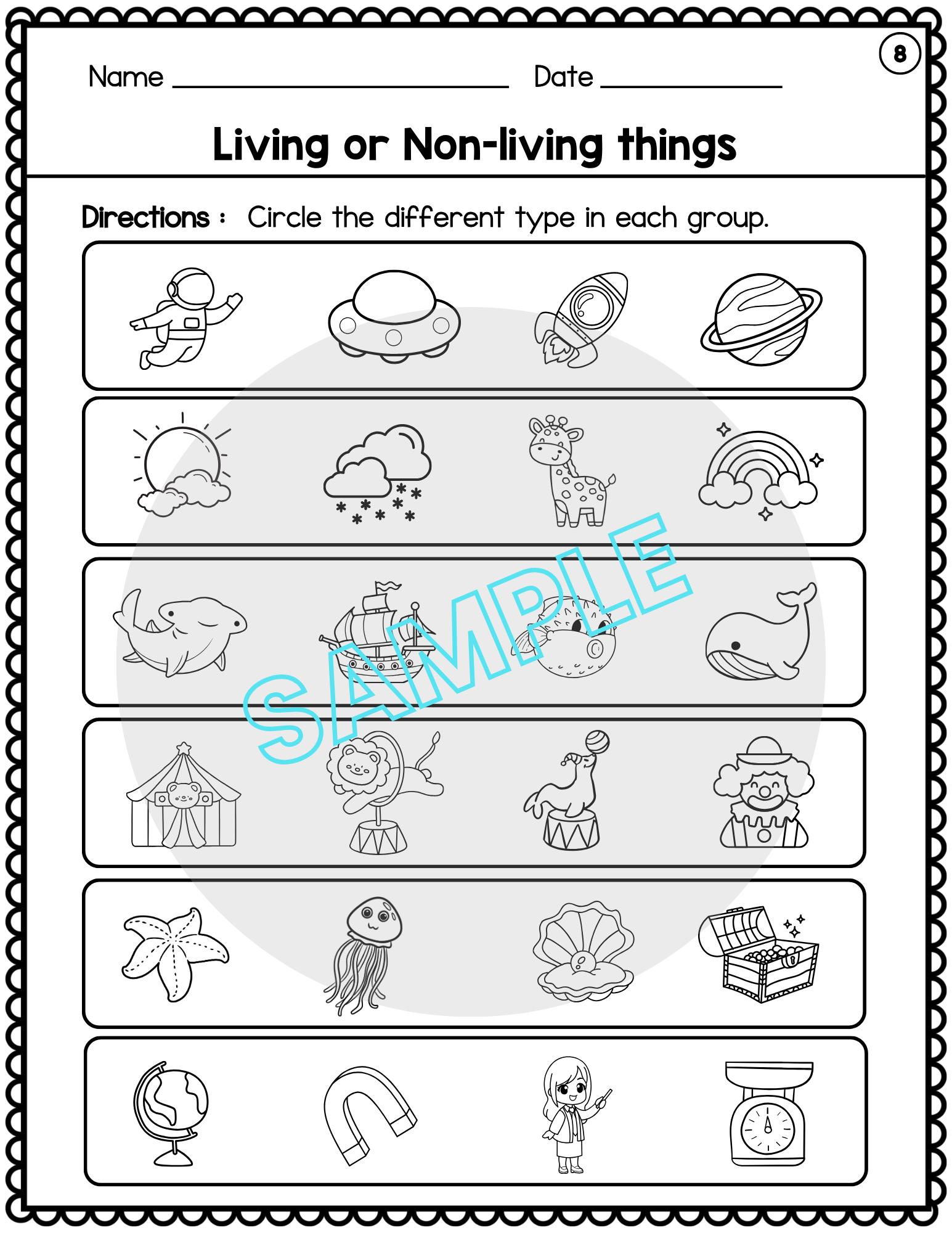 Living and Non-living Things Worksheets: Homeschool Science Grades 1-3 ...