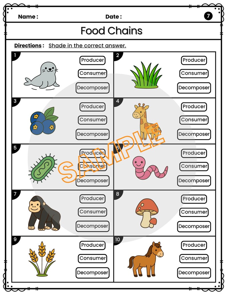 Food Chain & Food Web Worksheets | Homeschool Science Reading ...