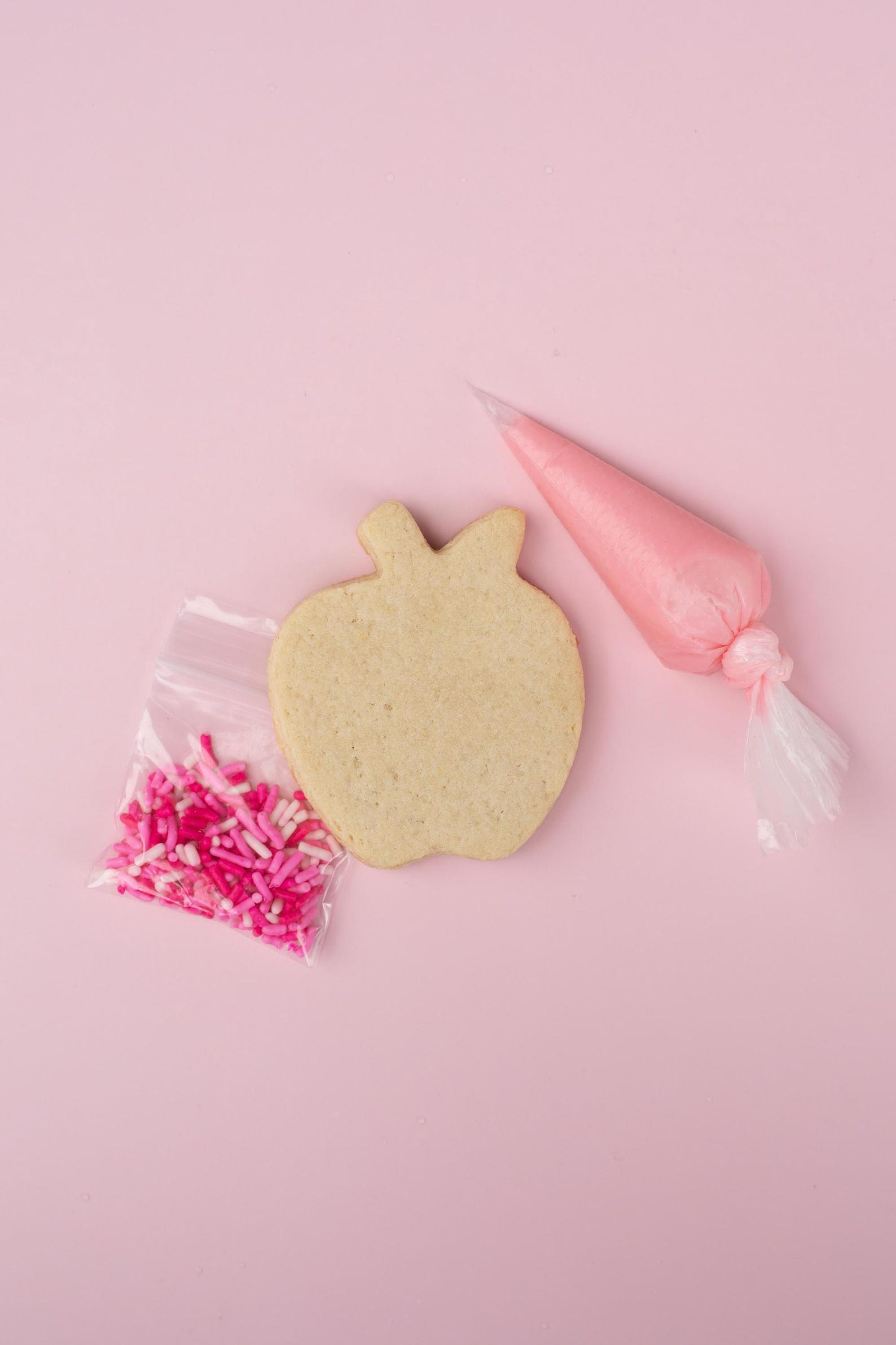 Paint Your Own Apple Cookie Kit – Edible Back to School Favor - Etsy