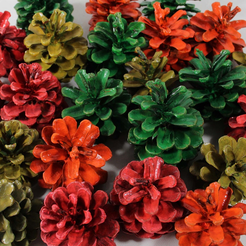 Painted Pinecones - Etsy