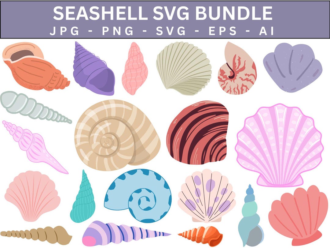 Seashell SVG Bundle, Beach Clipart (digital Download) - Etsy