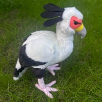 Crazy Birds - Harald Huhn - - Etsy
