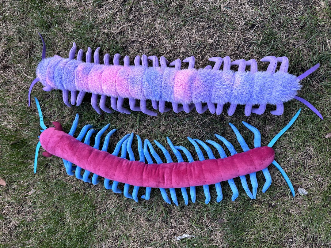 Realistic Centipede PLUSH TOY, Stuffed Animal ,unique Gift for Her, Him ...
