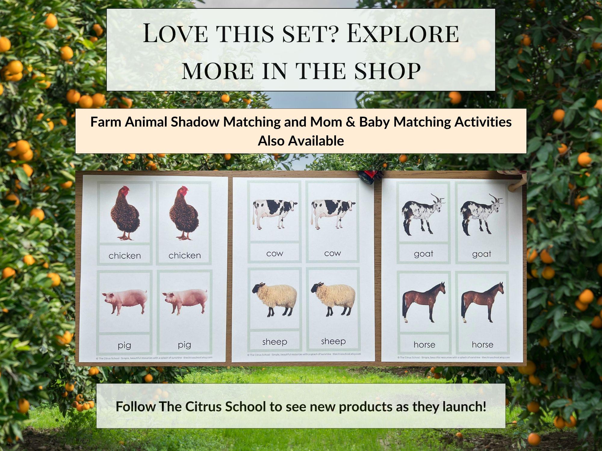 Farm Animal 3-part Cards Bundle – Montessori Printable Flashcards ...